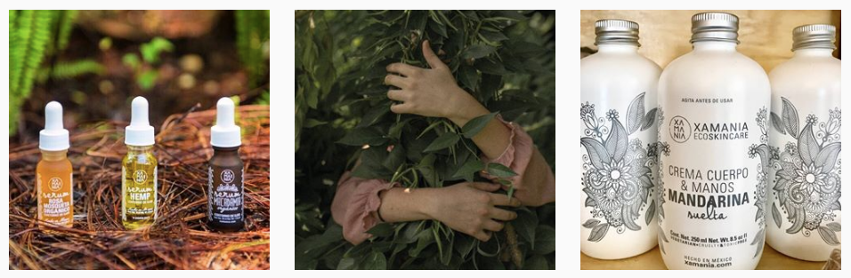 Marcas mexicanas de belleza: Productos naturales inspirados en ...